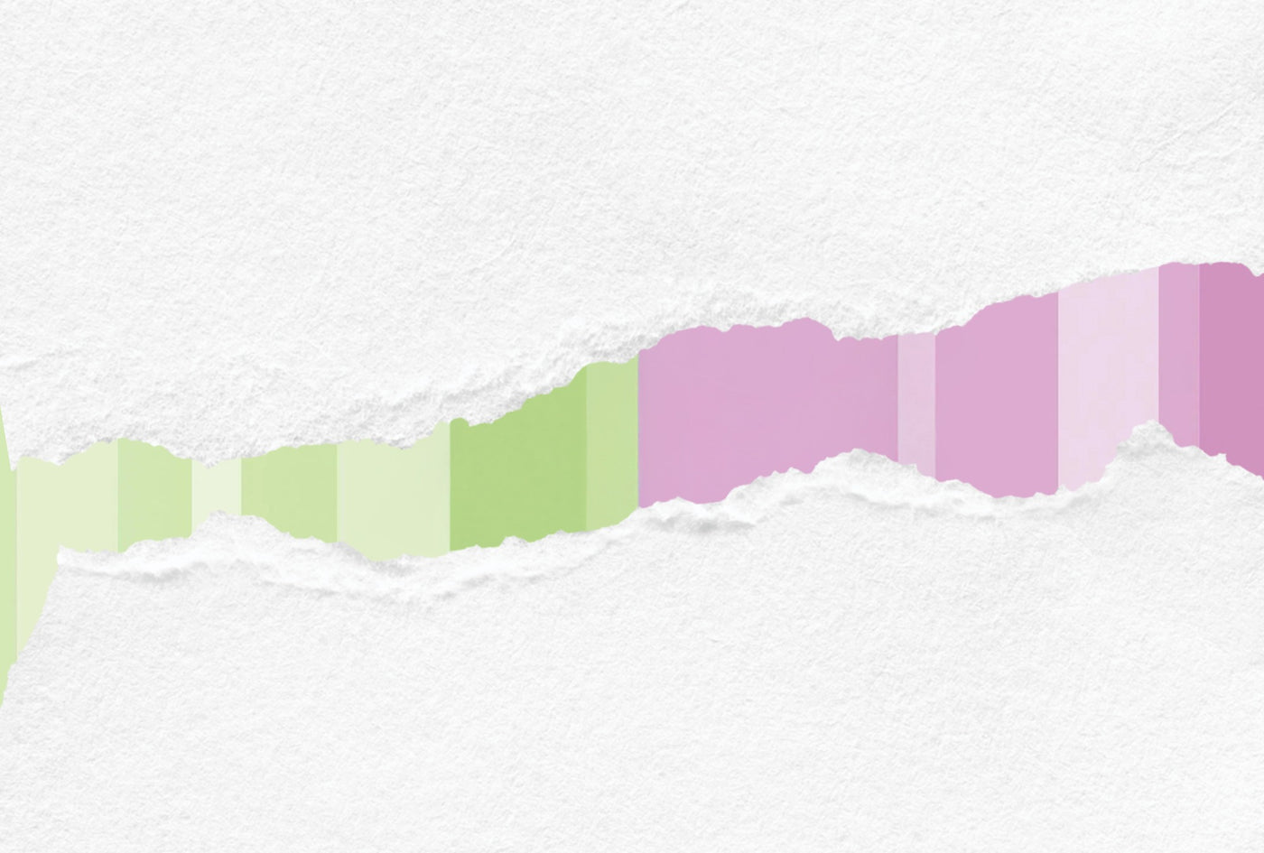 Steph Pase Planners | Stationery Sale